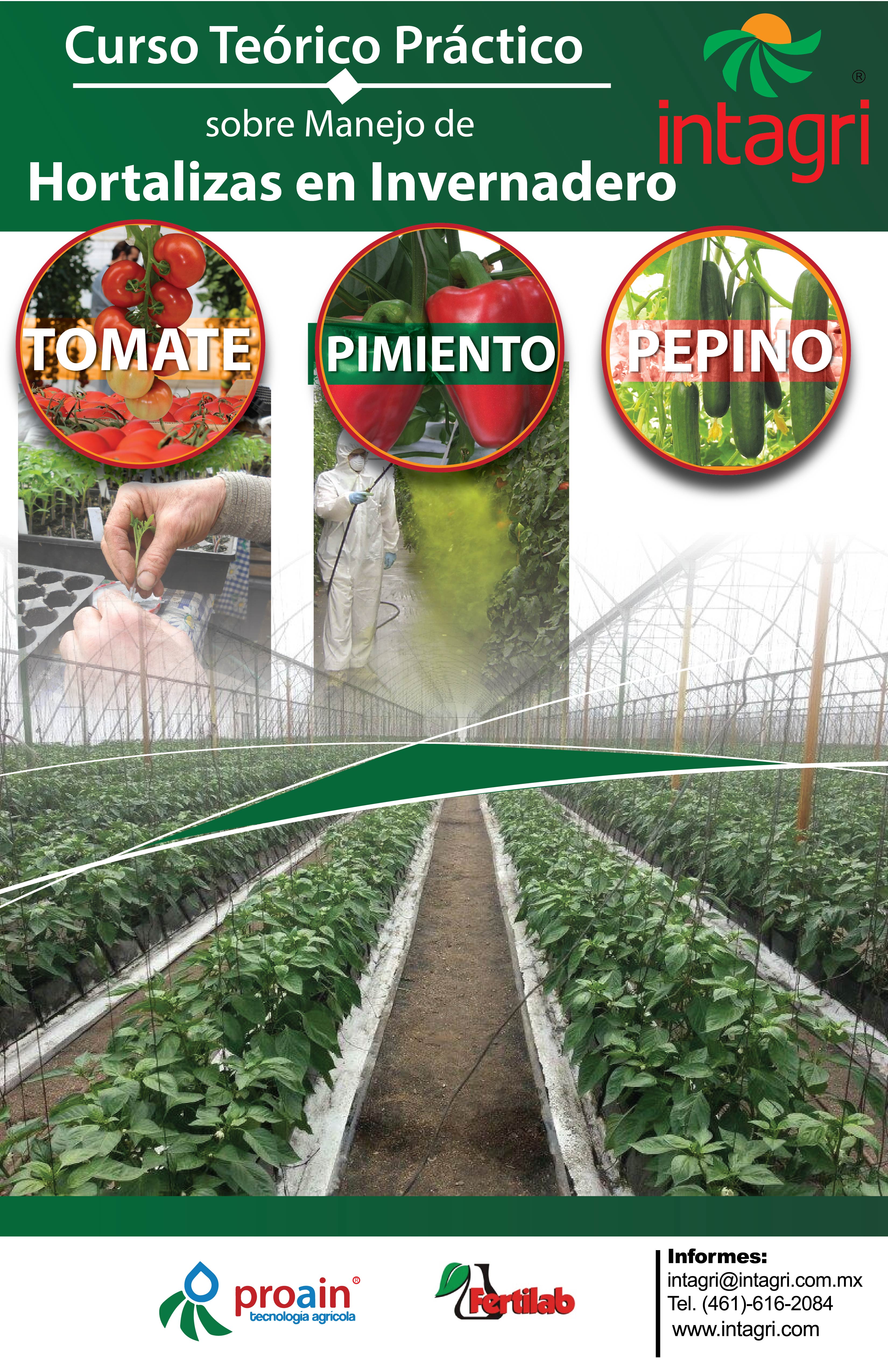 Curso virtual: Teórico sobre Producción de Hortalizas Bajo Invernadero - Inicio | Intagri S.C.